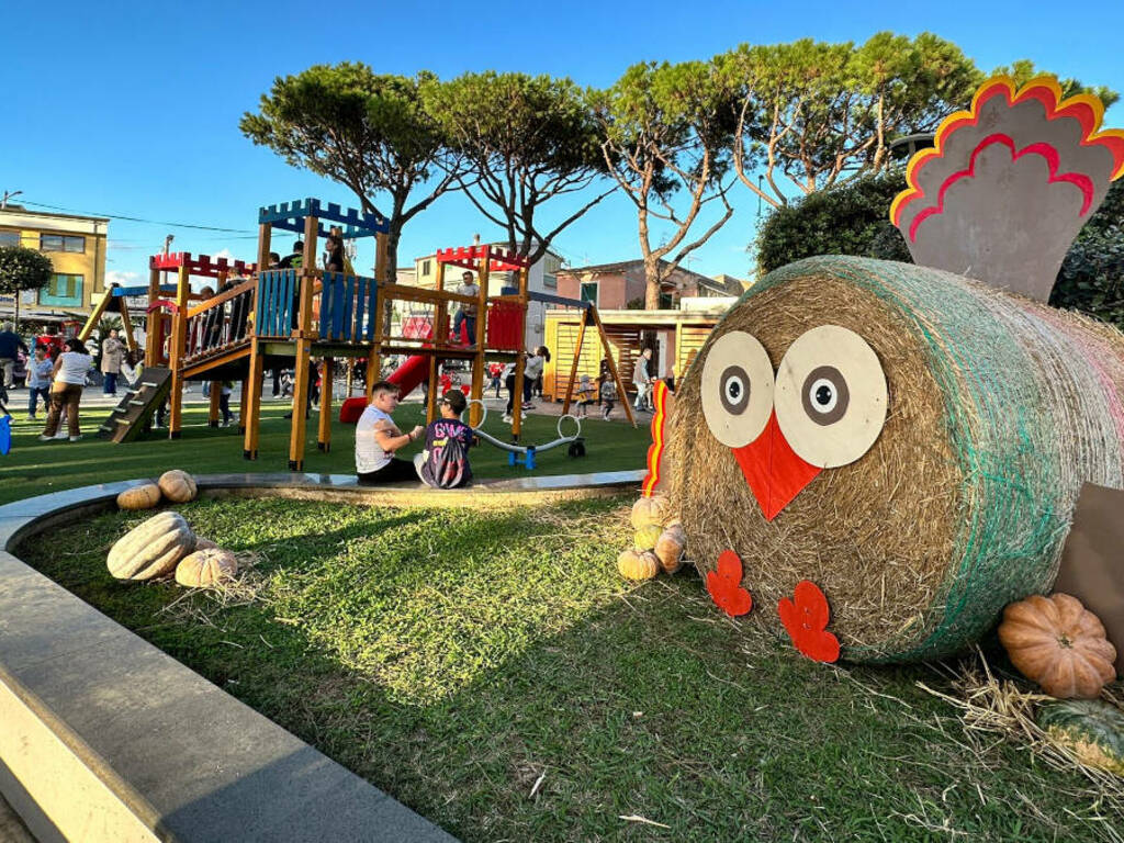 Cellole: ritorna il Villaggio delle Zucche in piazza Aldo Moro, aperto ...