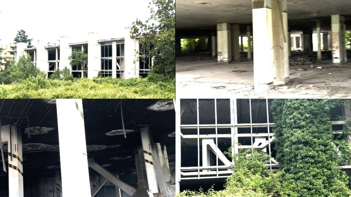 Texas Instruments Eugenia D’Angelo il Basilisco | Recupero area a Polo ...